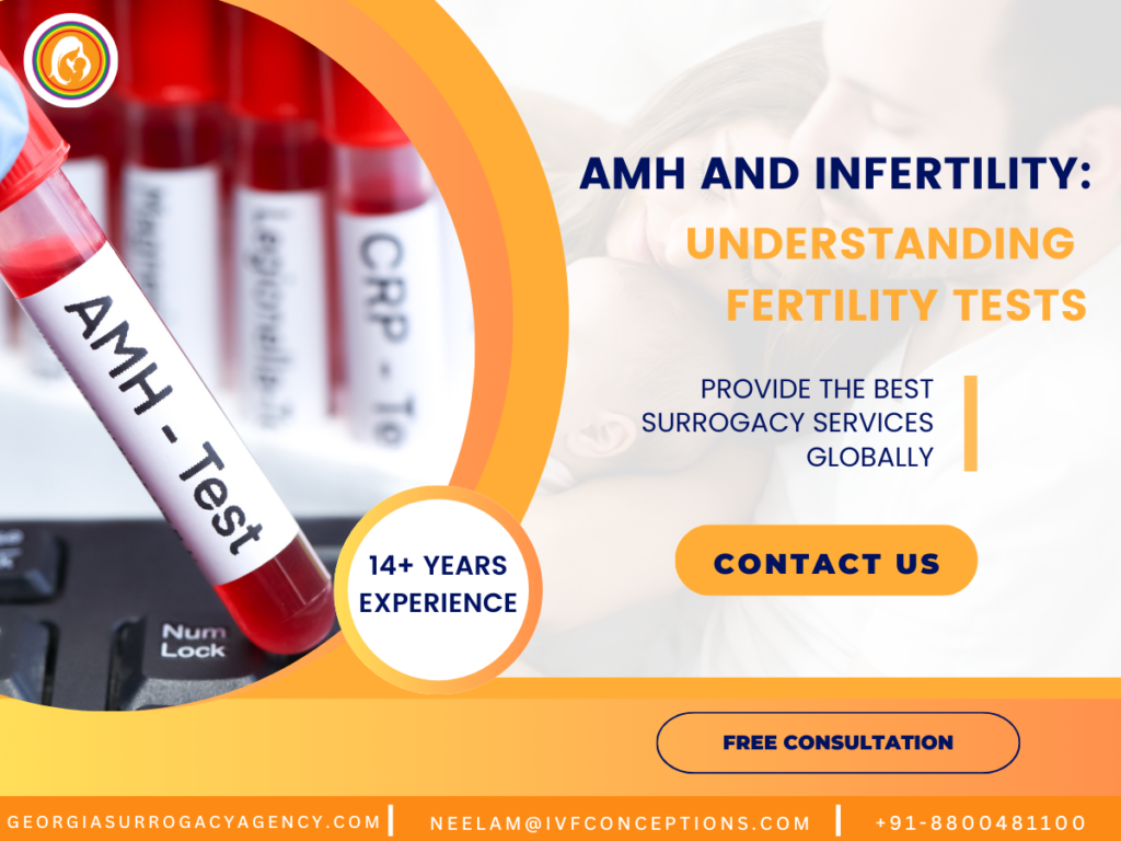 AMH and Infertility: Understanding Fertility Tests | Georgia Surrogacy ...
