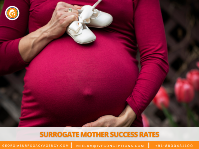 Surrogate Mother Success Rates: What You Need to Know | Georgia ...