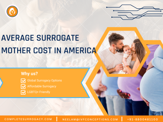 Average Surrogate Mother Cost in America (2025)